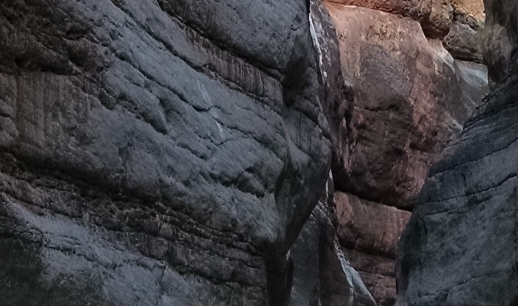 For Students and Teachers – Deep Wild Journal