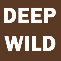blog – Deep Wild Journal