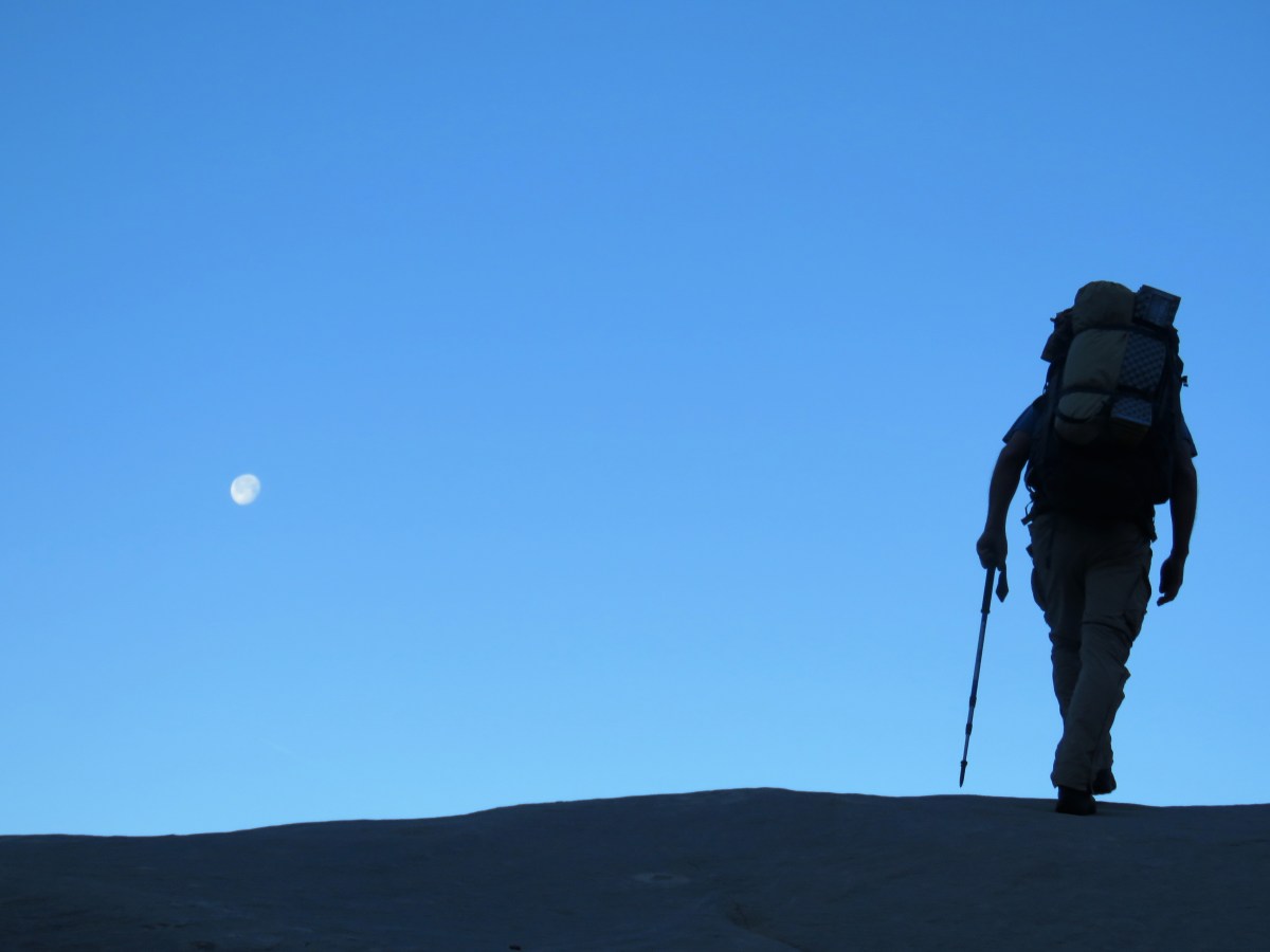 Submit – Deep Wild Journal