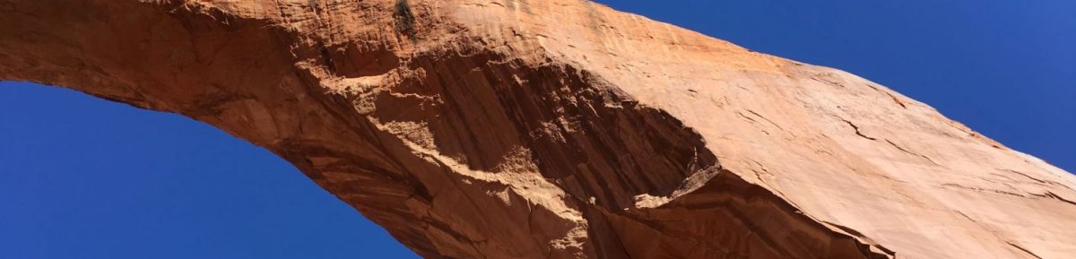 Deep Wild Books – Deep Wild Journal