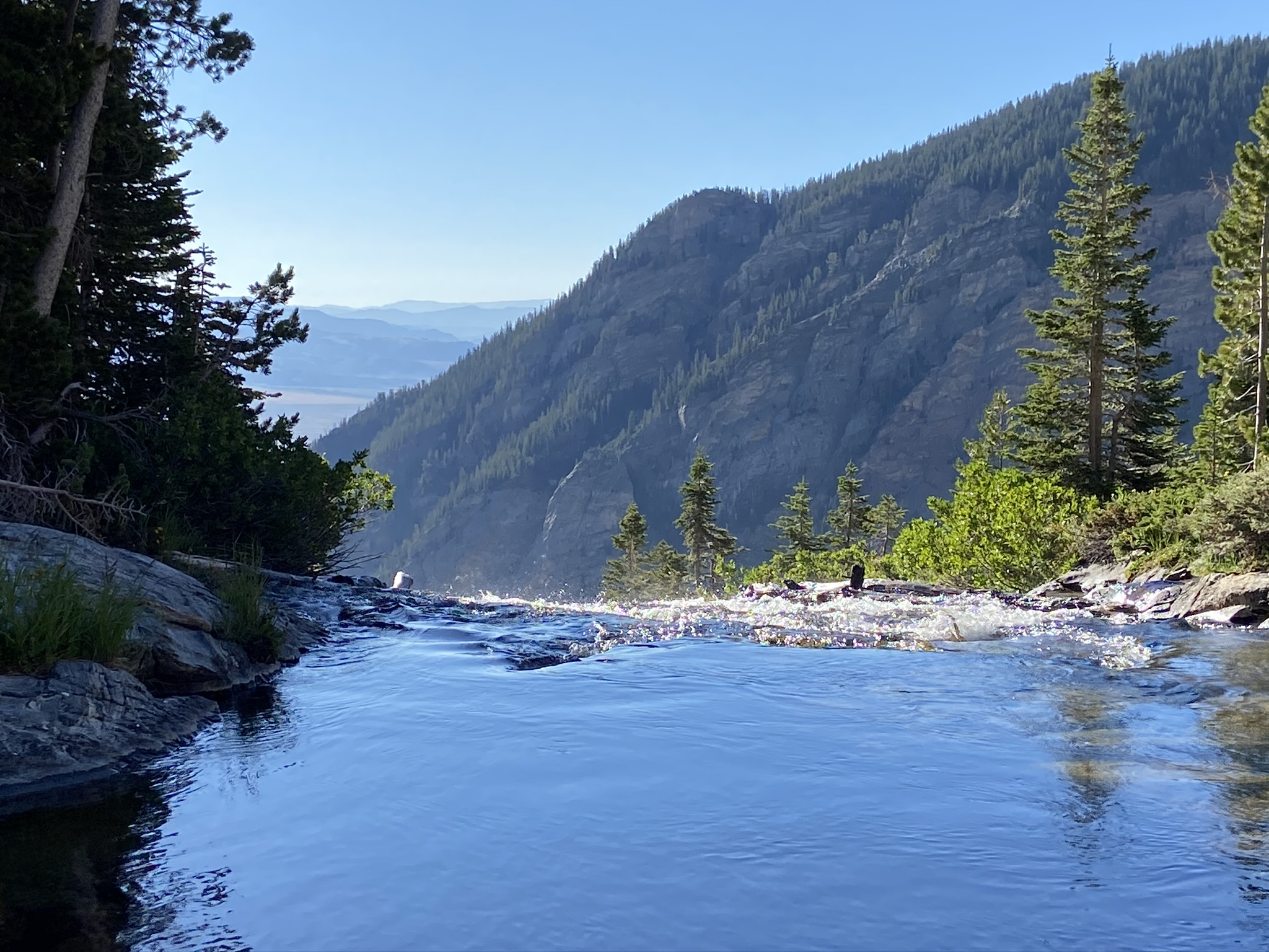 Deep Wild submissions open soon! – Deep Wild Journal