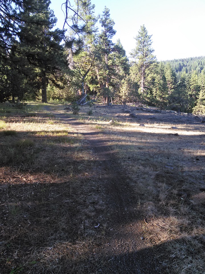 Submissions open! – Deep Wild Journal