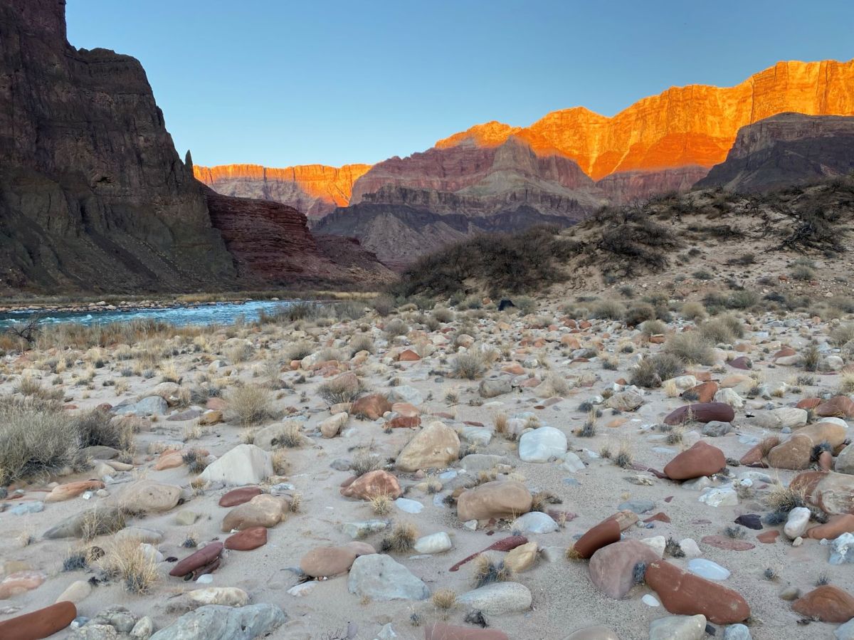 Many particular pleasures… – Deep Wild Journal