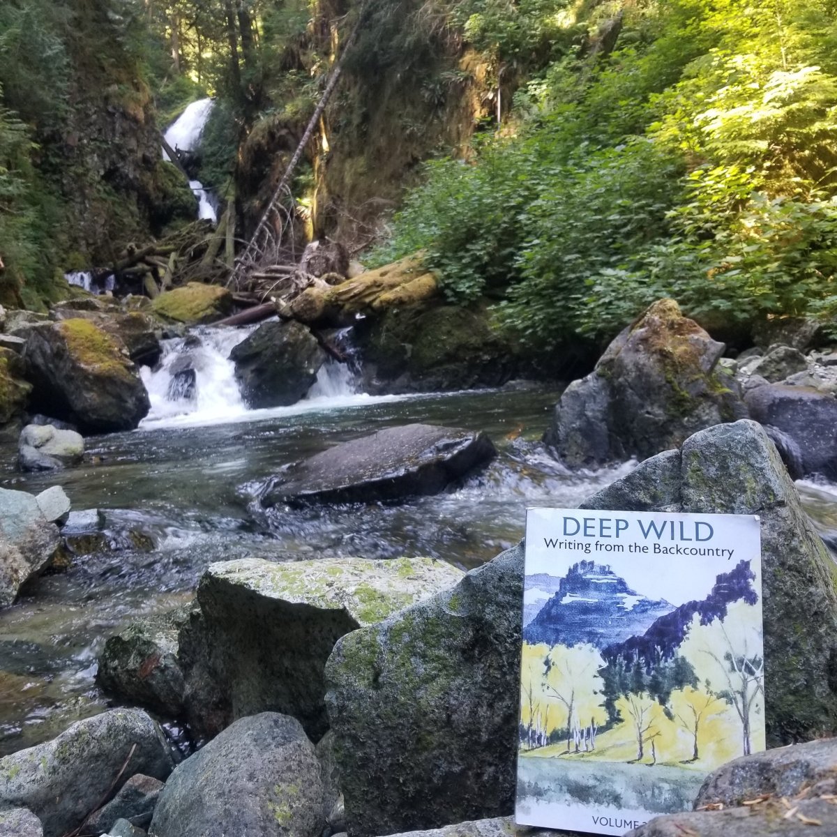 Cold Water, Cool Words – Deep Wild Journal