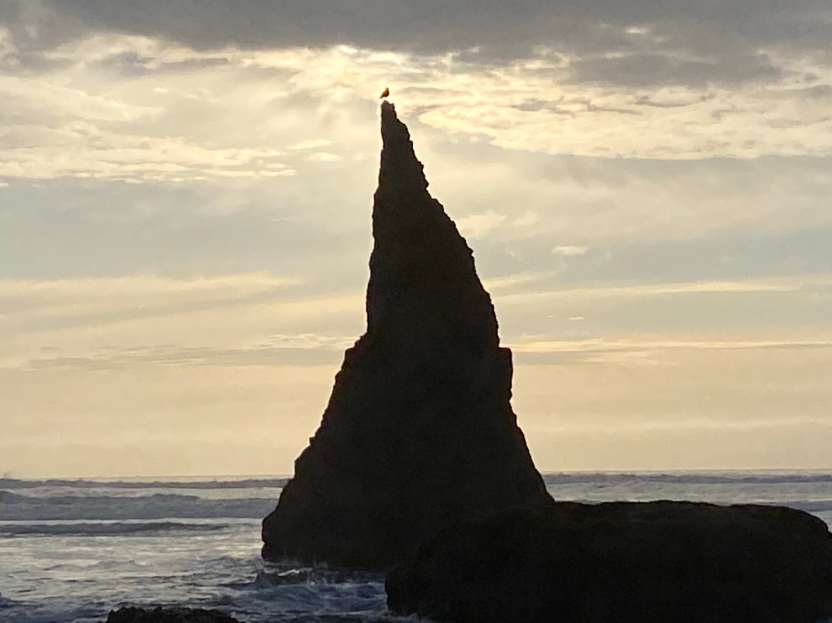 Stay on top of things… – Deep Wild Journal
