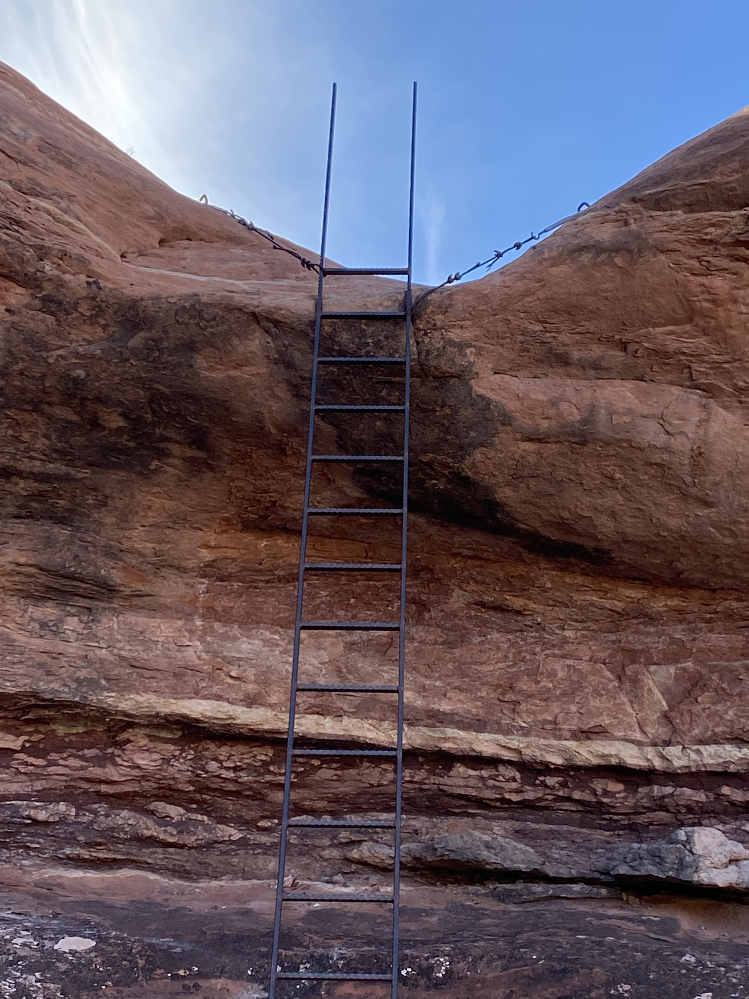 Elevate Us – Deep Wild Journal