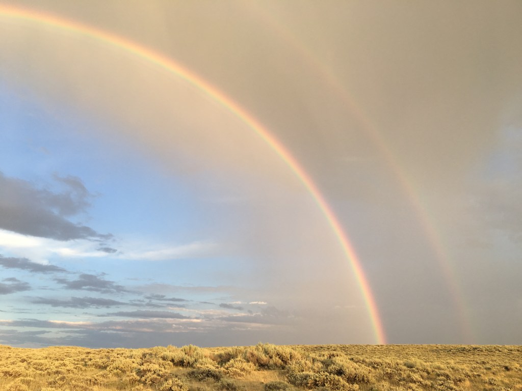 Subscribe/Support – Deep Wild Journal