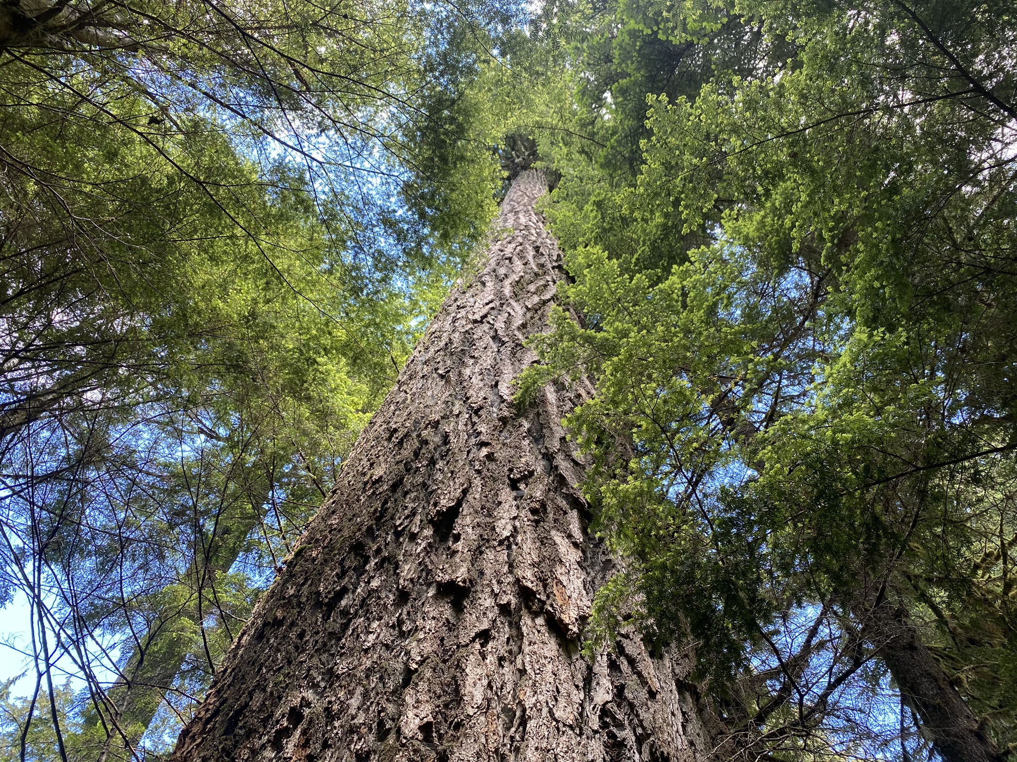 Deep Wild Journal – Writing from the Backcountry