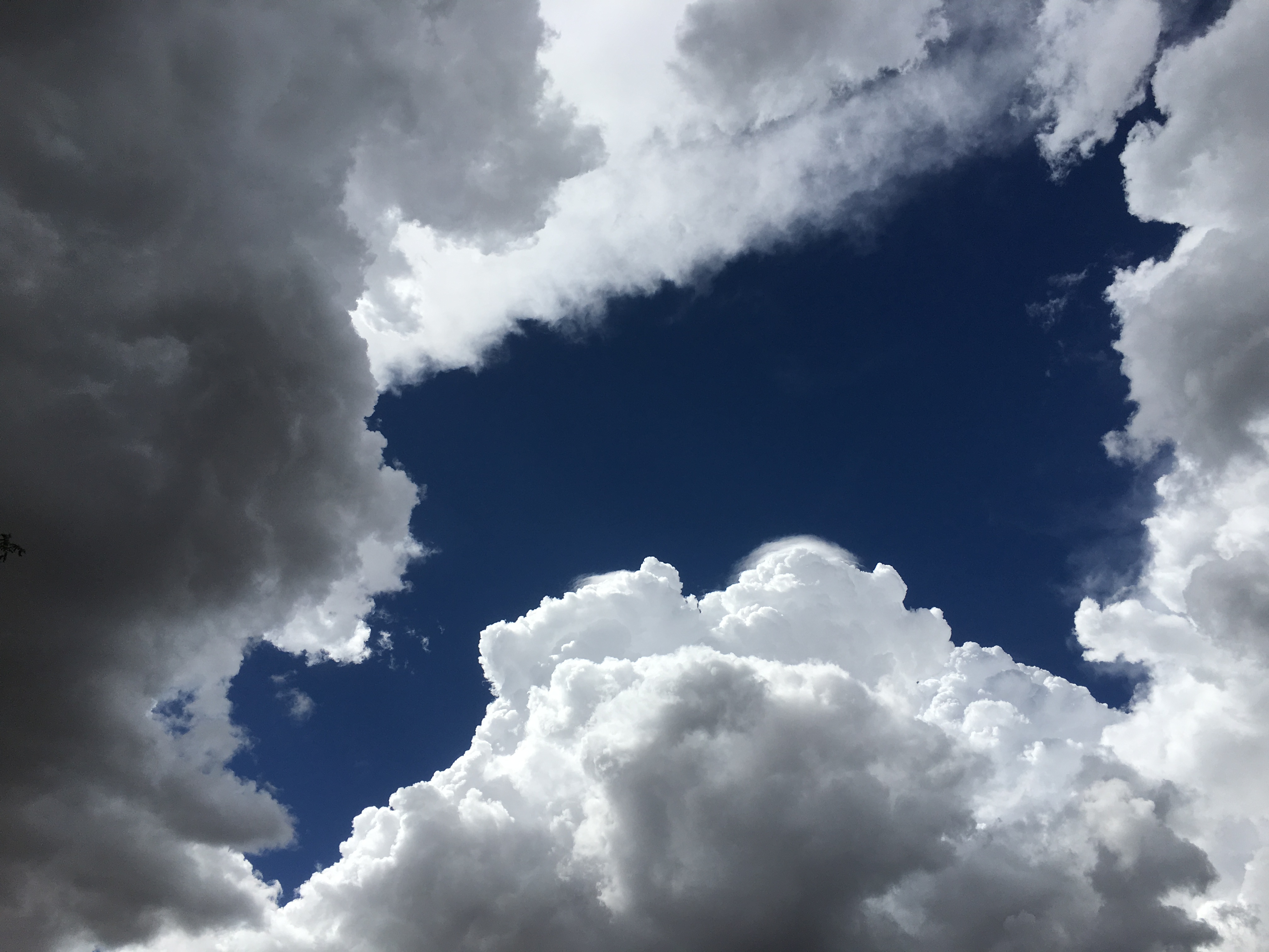 Students, the window is closing… – Deep Wild Journal
