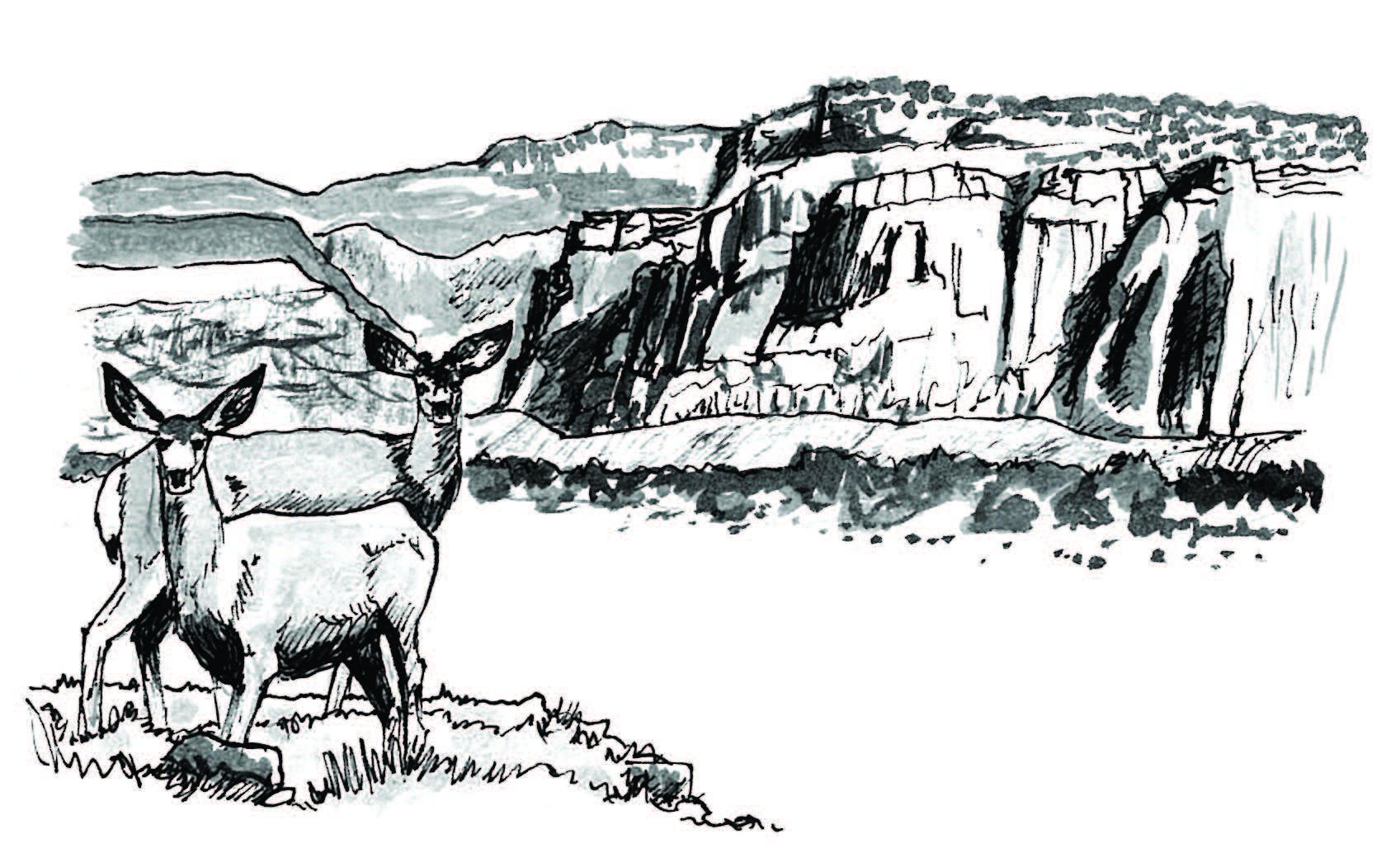 “Drawing on the Utah Wilderness,” by Margaret Pettis – Deep Wild Journal