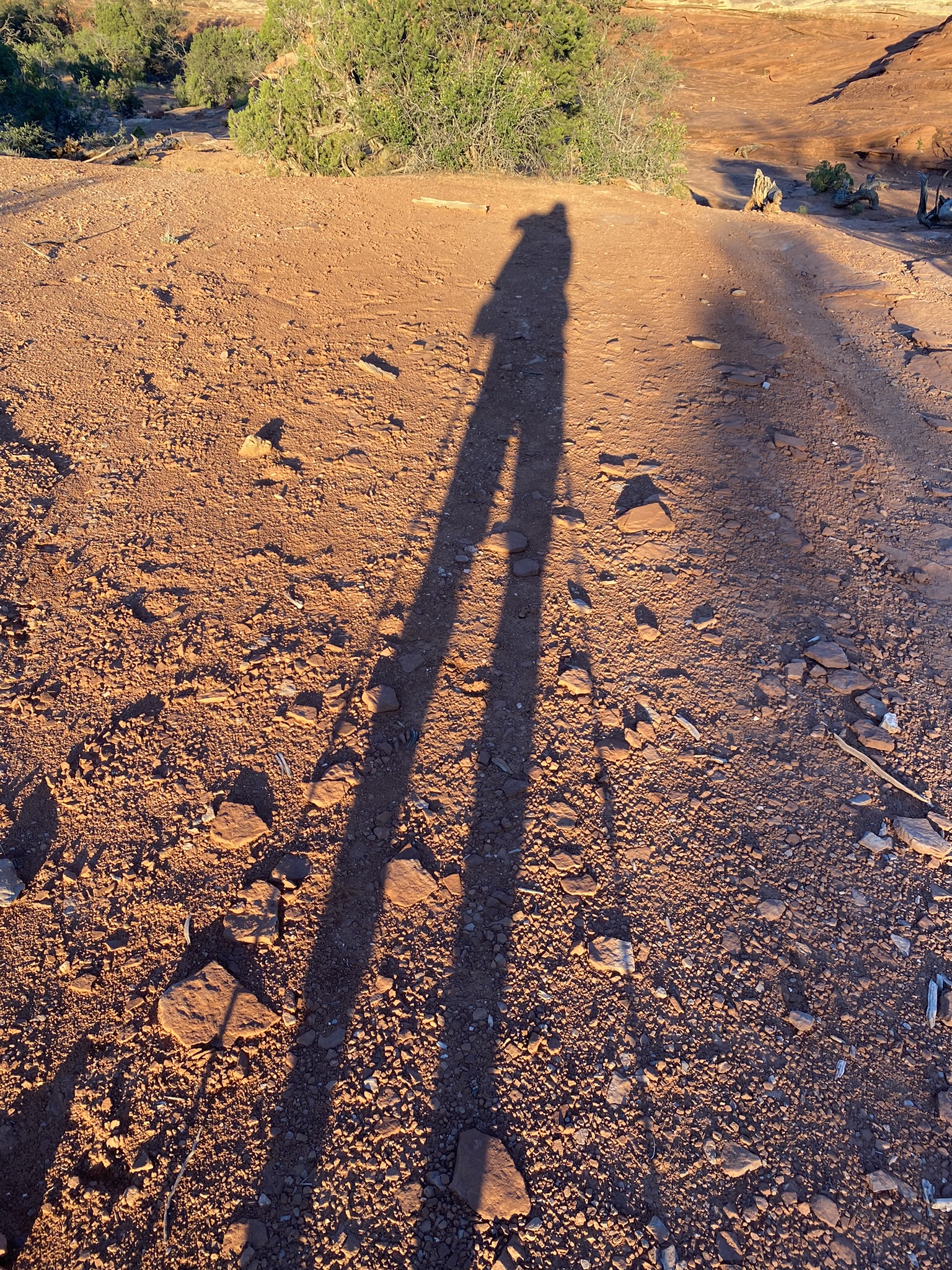 Stretch yourself… – Deep Wild Journal