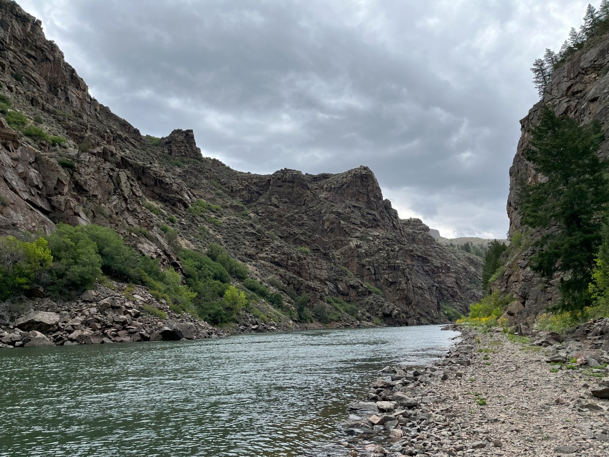 teach me, river – Deep Wild Journal