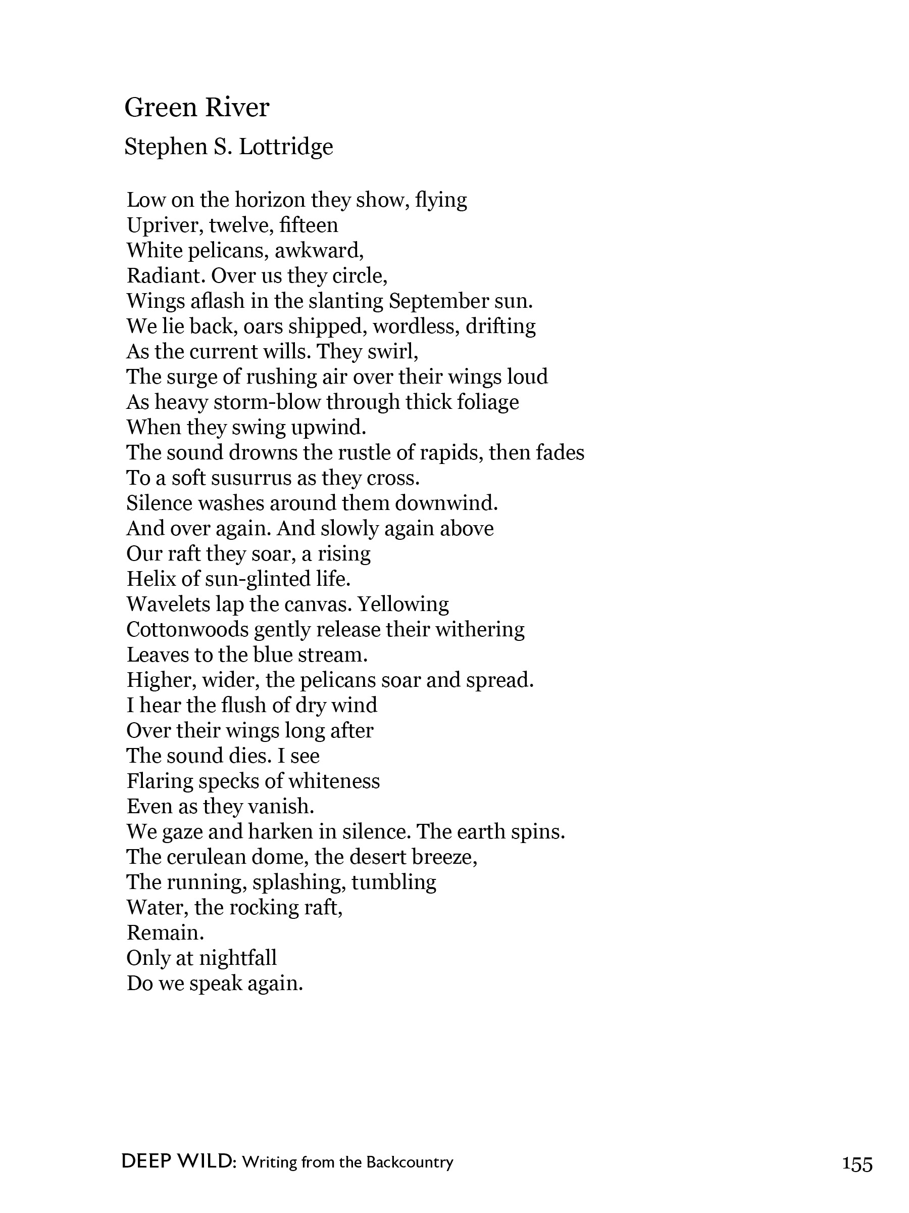 “White pelicans, awkward / radiant” – Deep Wild Journal