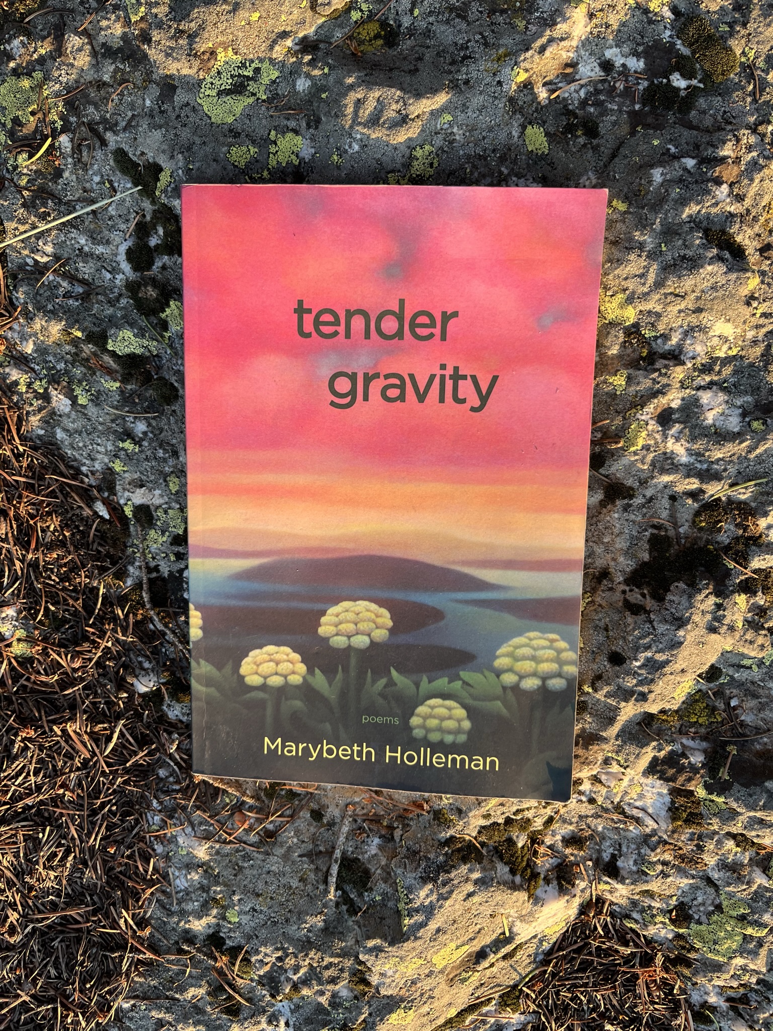 “tender gravity”–a gem of a book by Marybeth Holleman – Deep Wild Journal