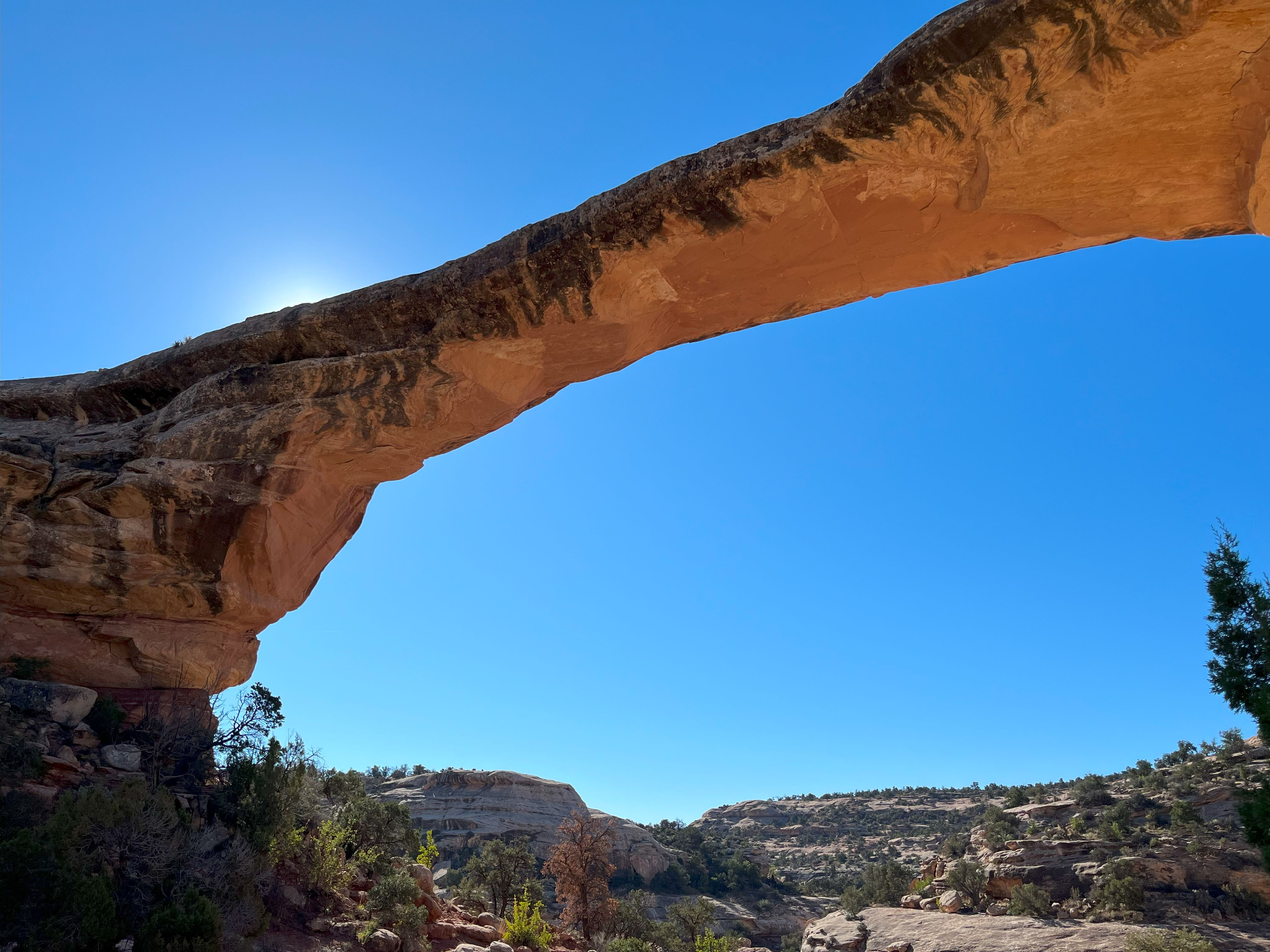 contest – Deep Wild Journal