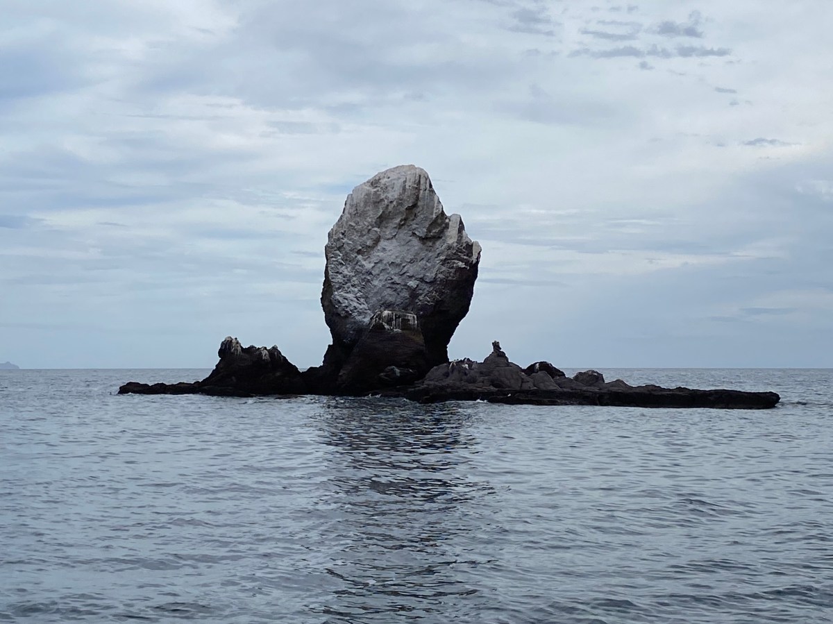 One more week to share your wild work! – Deep Wild Journal