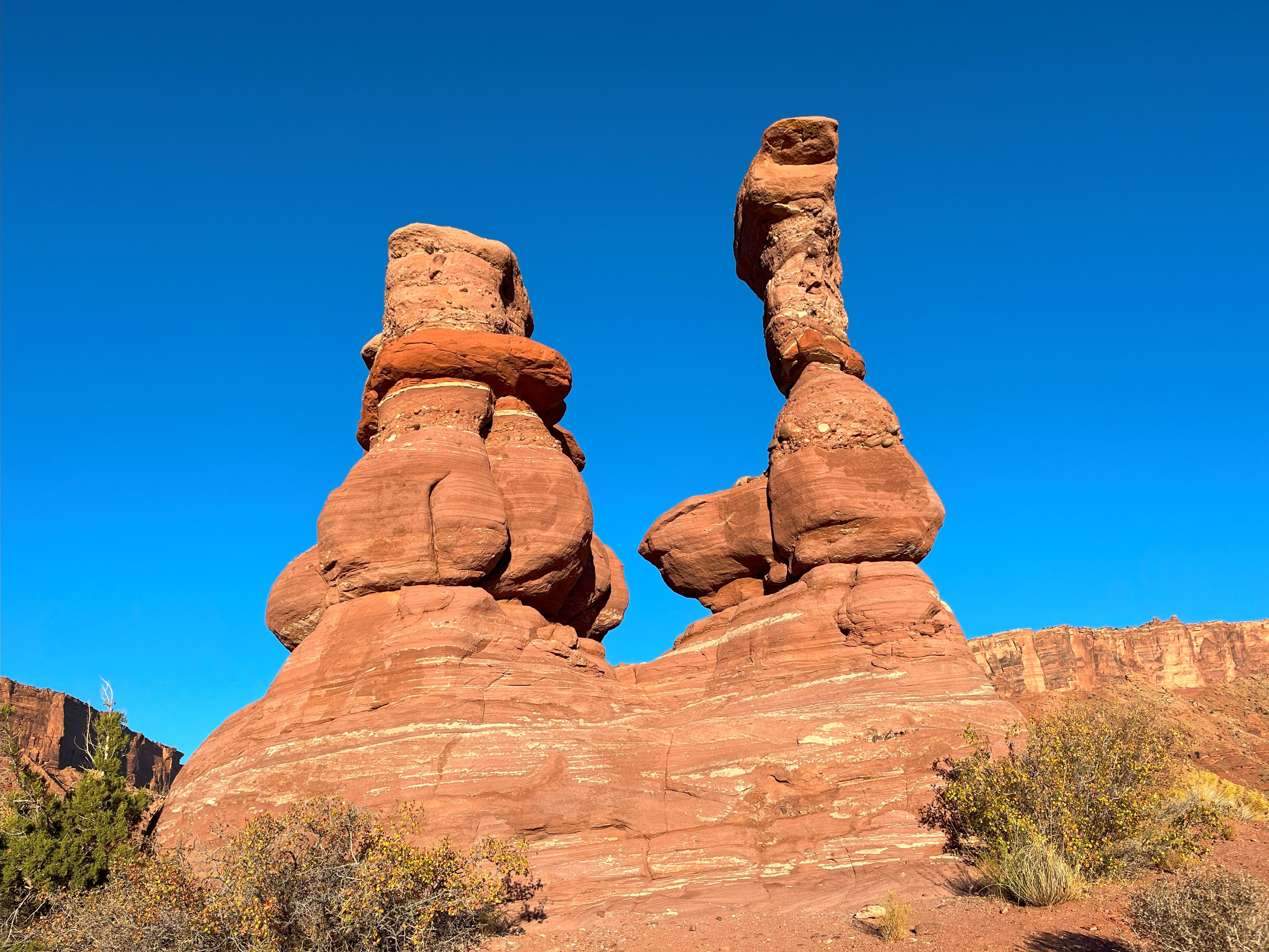 Subscribe/Support – Deep Wild Journal