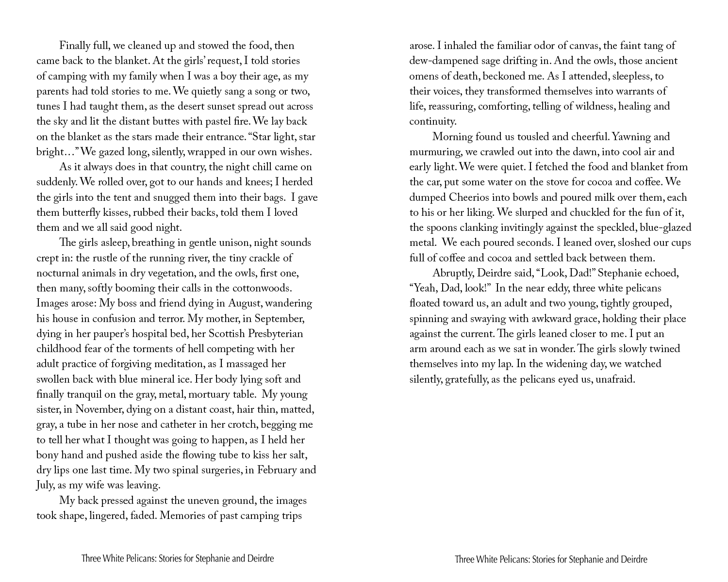 THREE WHITE PELICANS, by Stephen S. Lottridge – Deep Wild Journal