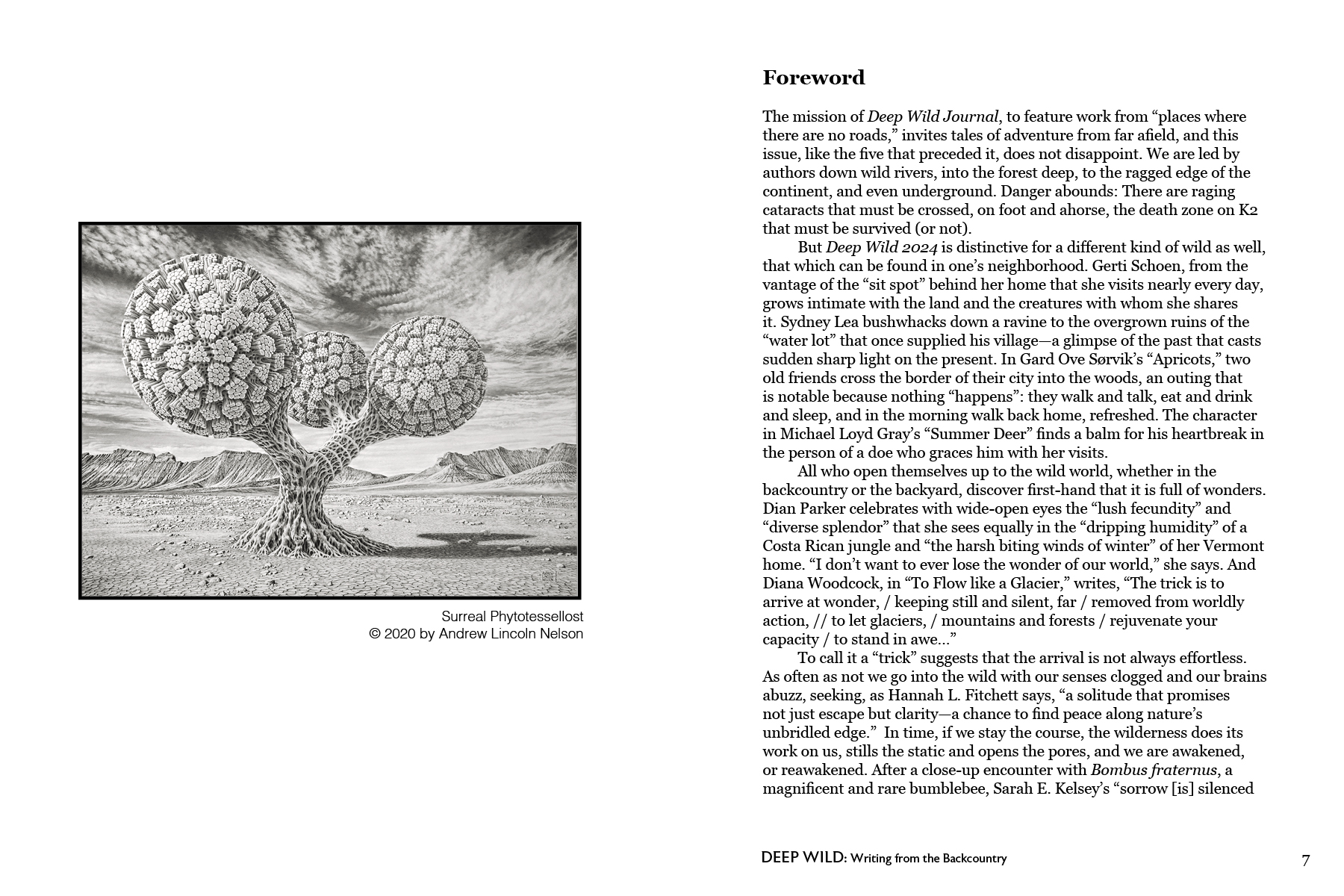 Deep Wild 2024 Contents and Foreword – Deep Wild Journal