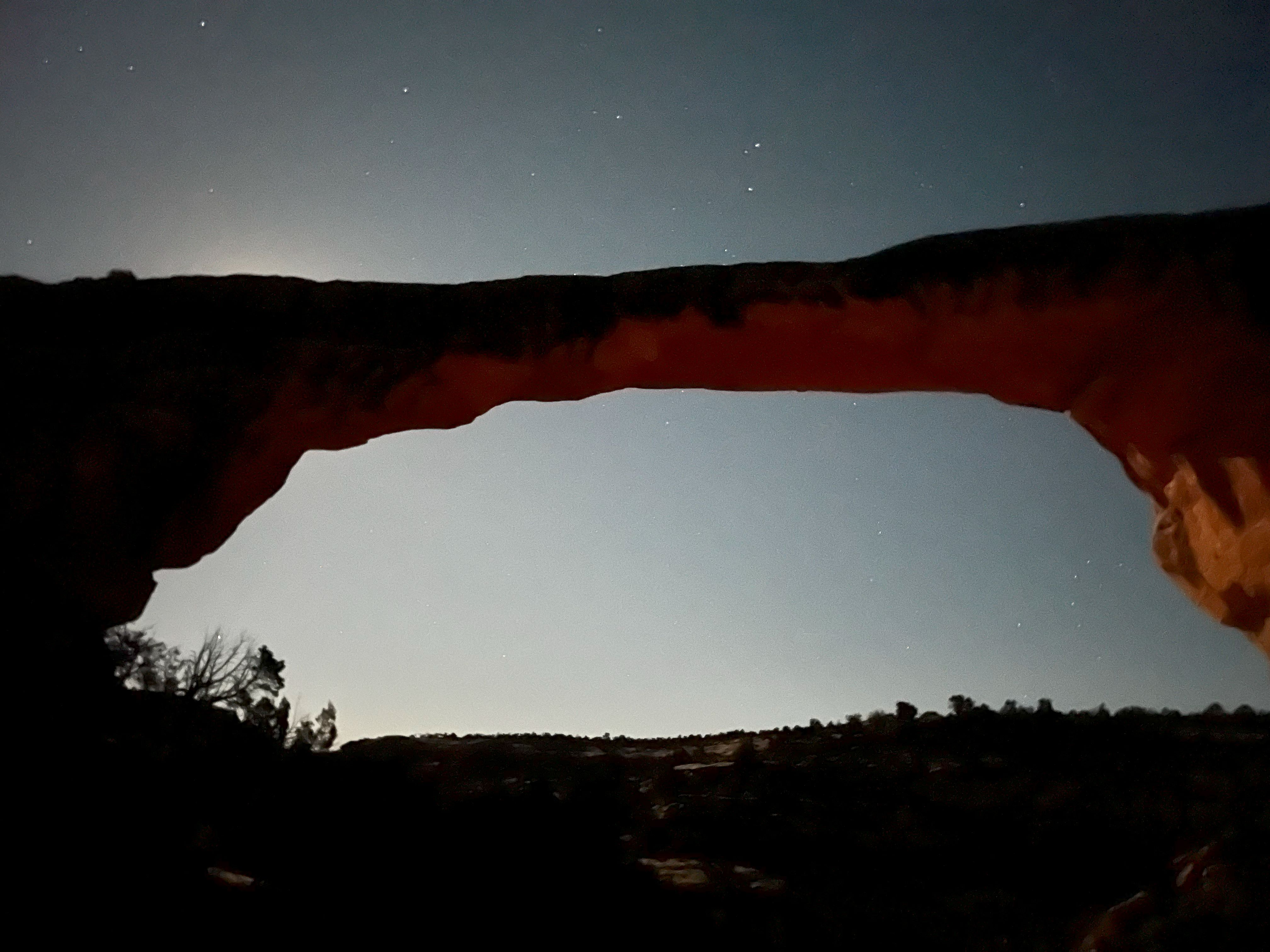 Subscribe/Support – Deep Wild Journal