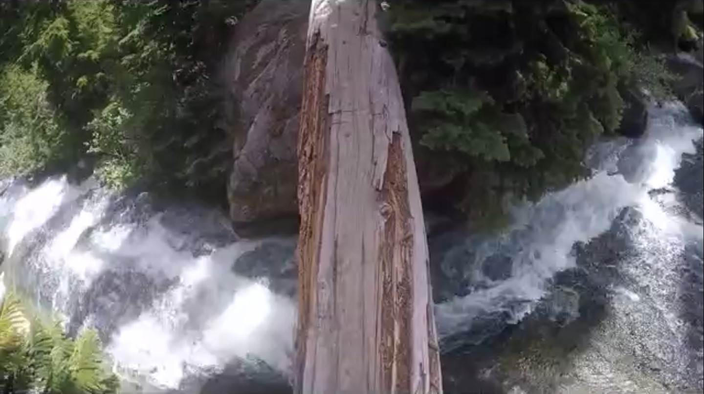 “The One Log Bridge Over Railroad Falls” – Deep Wild Journal