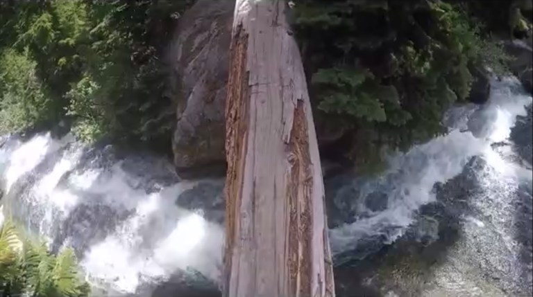 “The One Log Bridge Over Railroad Falls” – Deep Wild Journal