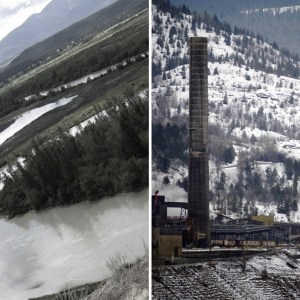 Submit – Deep Wild Journal