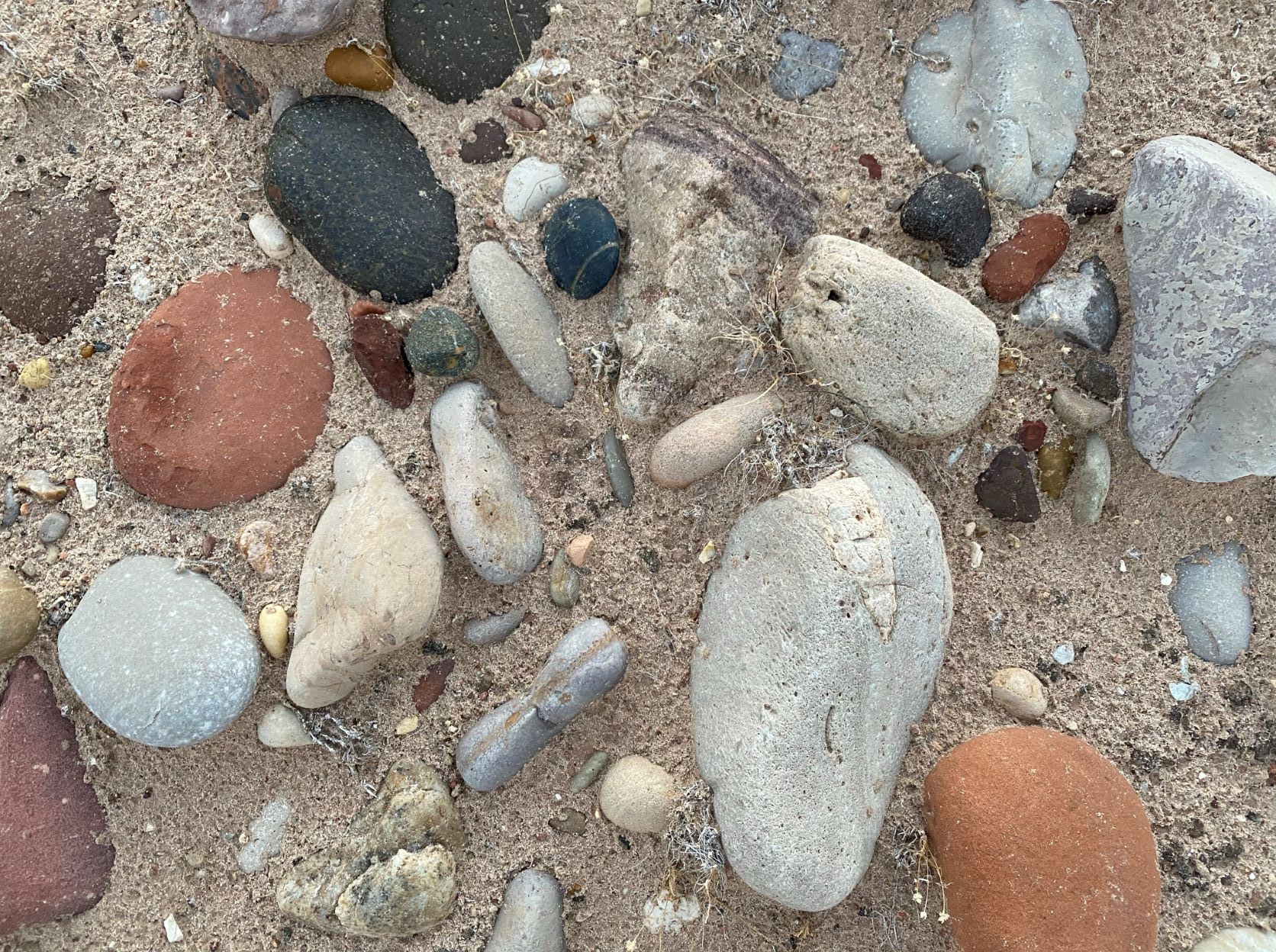 Rock bottom prices… – Deep Wild Journal