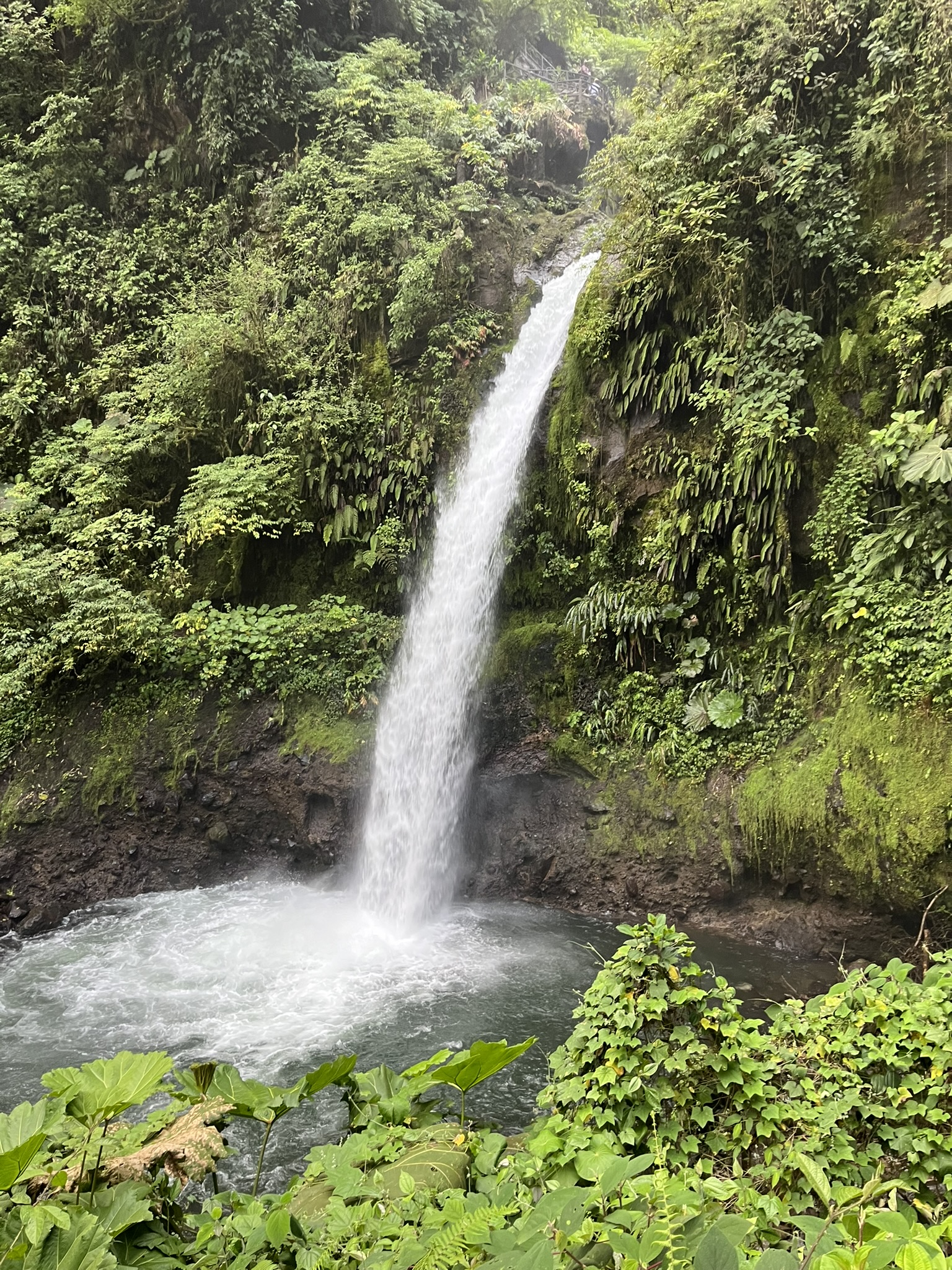 Deep Wild Journal – Writing from the Backcountry