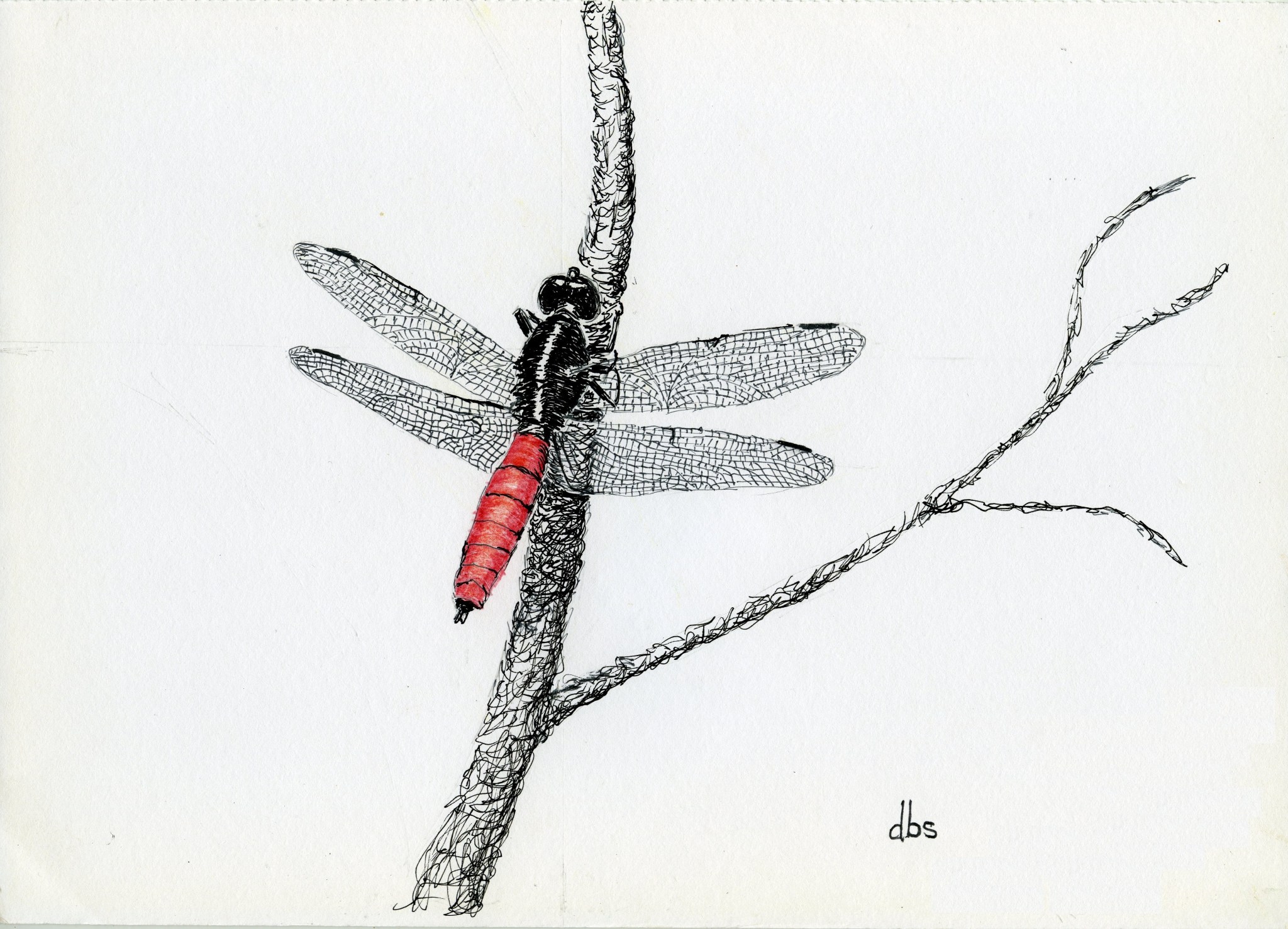 Our Pushcart Prize Nominees for 2025! – Deep Wild Journal